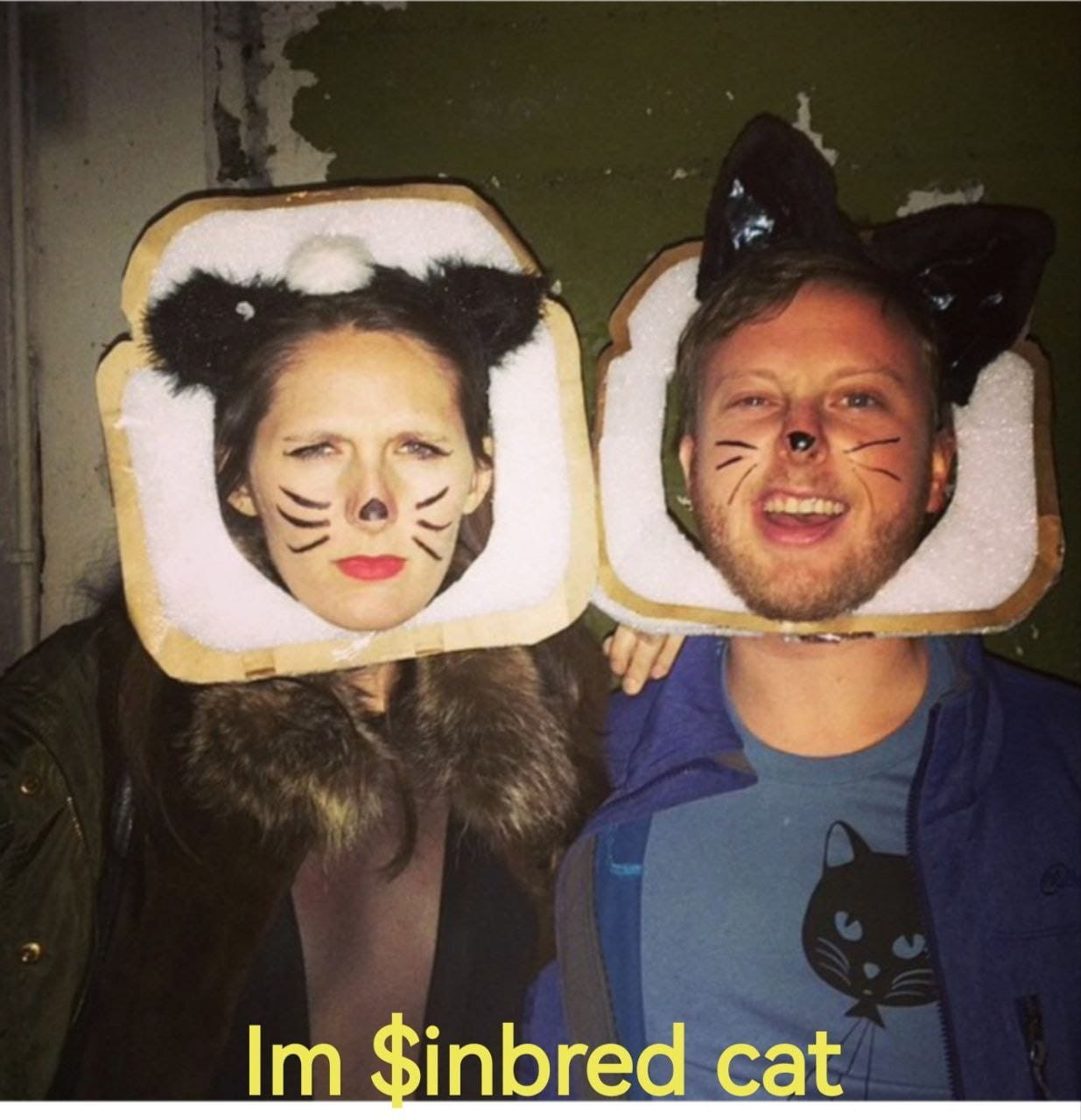 #面包猫 #inbred Why don't you miss $inbred cat? It may change | meme才是价值币 ...