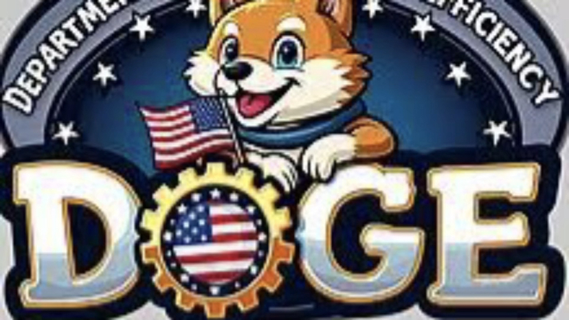 Musk and the Department of Government Efficiency: Assisting the ...