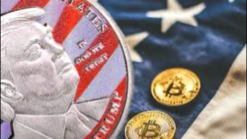 Fluctuations and the Rise of FreeDum Fighters Meme Coin After the US elections, market ...