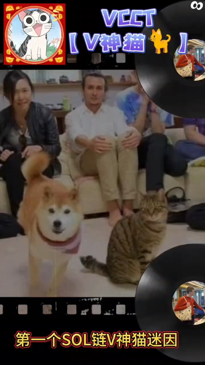 V God Cat VCCT Let's learn to meow together, meow meow😻😸😺😽 #VCCT #NEIRO ...