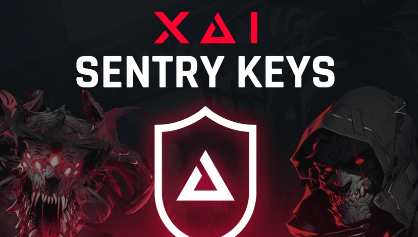 XAi small key introduction and tutorial | HGtongchen on Binance Square