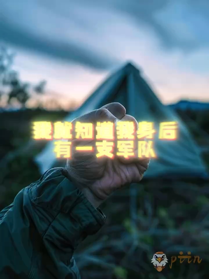 It’s not just a meme coin. $piin is the future of community-driven ...