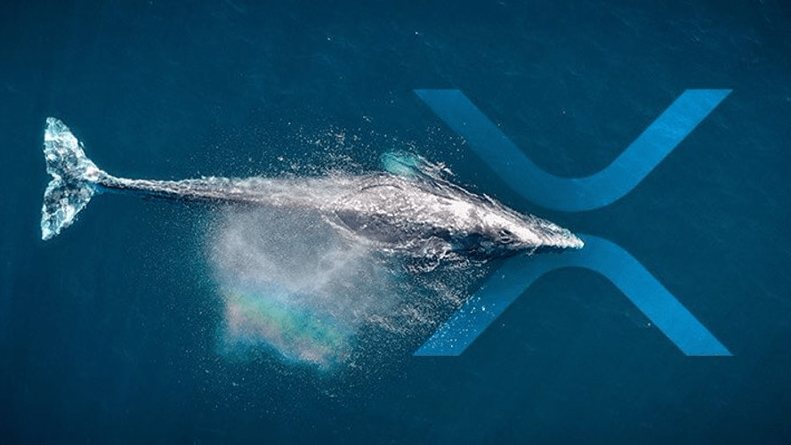 Unveiling the mysterious boss - Ripple ($XRP) project interpretation ...