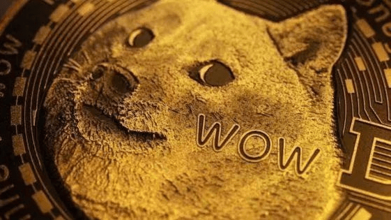 Doge Chain Teams Up with Zero Knowledge Proofs to Expand the Doge ...