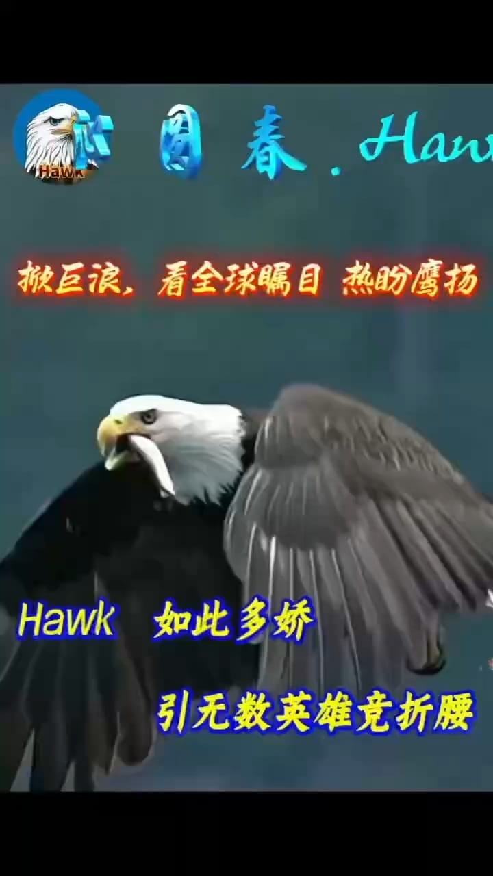 Who made this hawk cover? So talented! | 上帝视角 on Binance Square